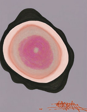 Osho Books in Chronological Order – OSHO Life And Vision